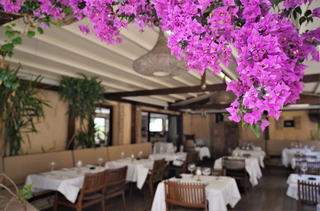 Gallery – Castello Restaurant